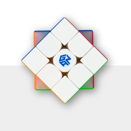 🌟 GAN 356 RS2: ¡GAN al mejor precio!