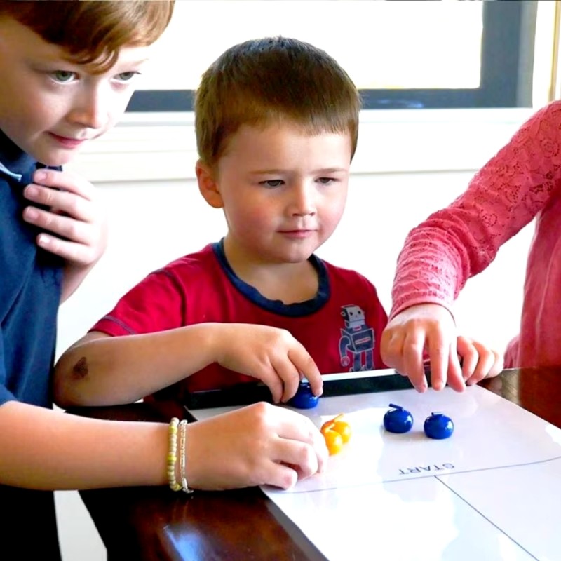 Tabletop Curling Game - Lleva la emoción del curling a tu mesa 🤩
